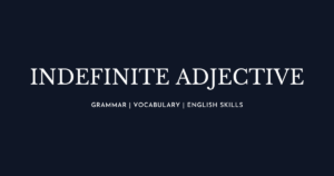 Indefinite Adjectives | (Definition and Examples) Guide [year]